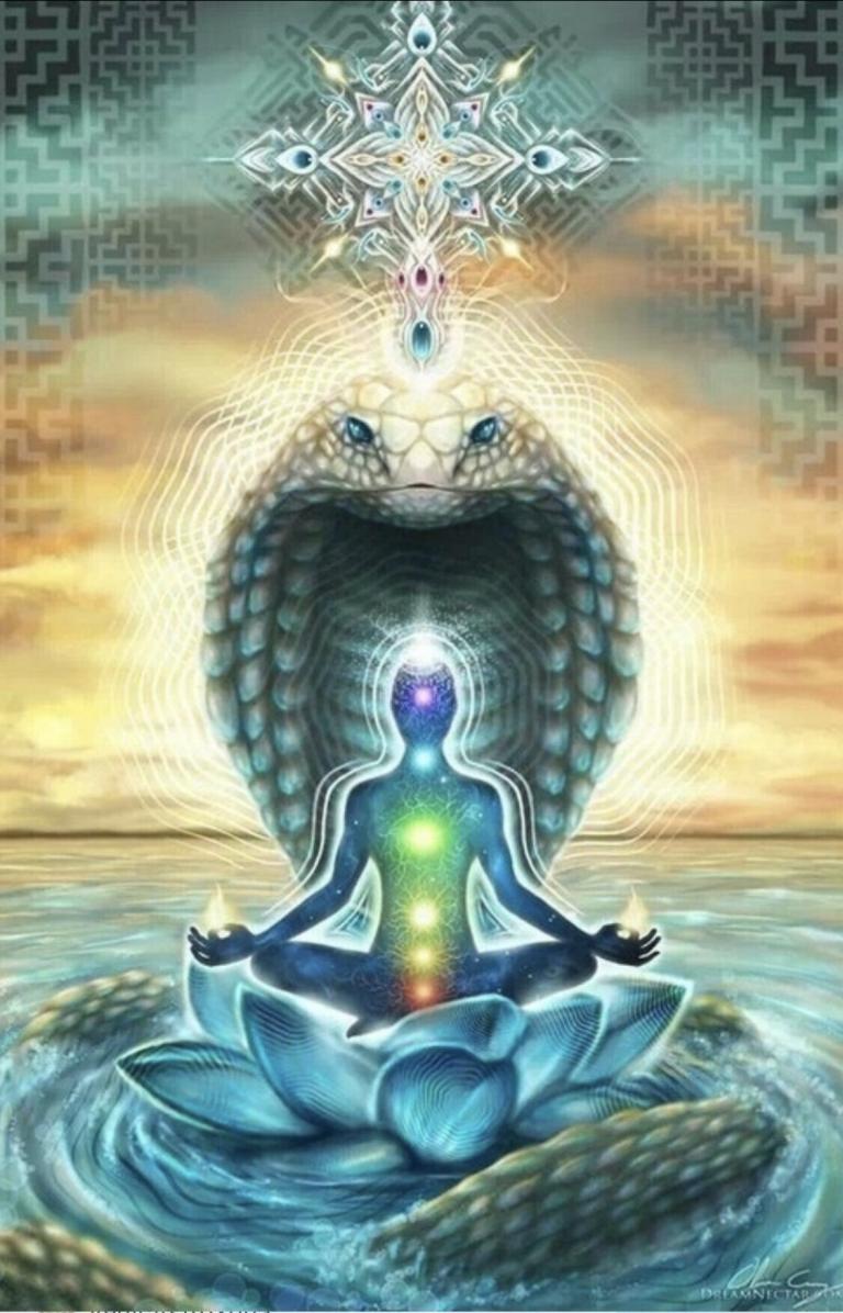 Gnosis Brasil - Ciência e Cultura do Homem em Busca do Ser